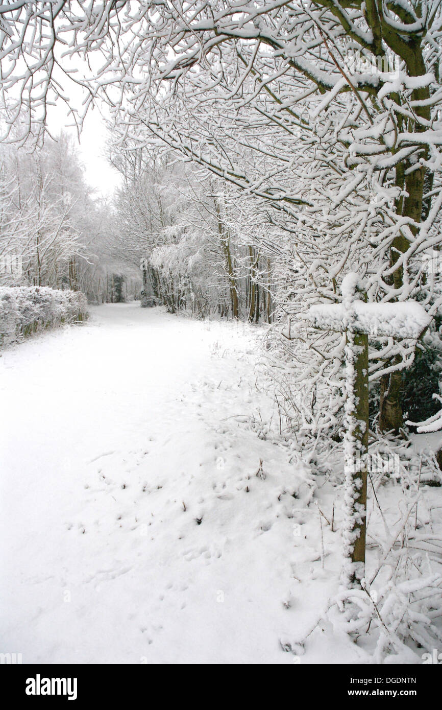 A snowy country scene in the UK Stock Photo - Alamy