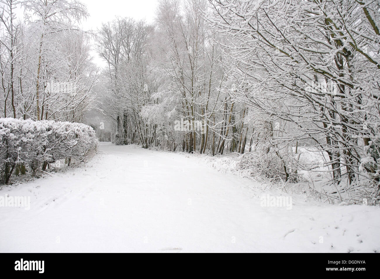 A snowy country scene in the UK Stock Photo - Alamy