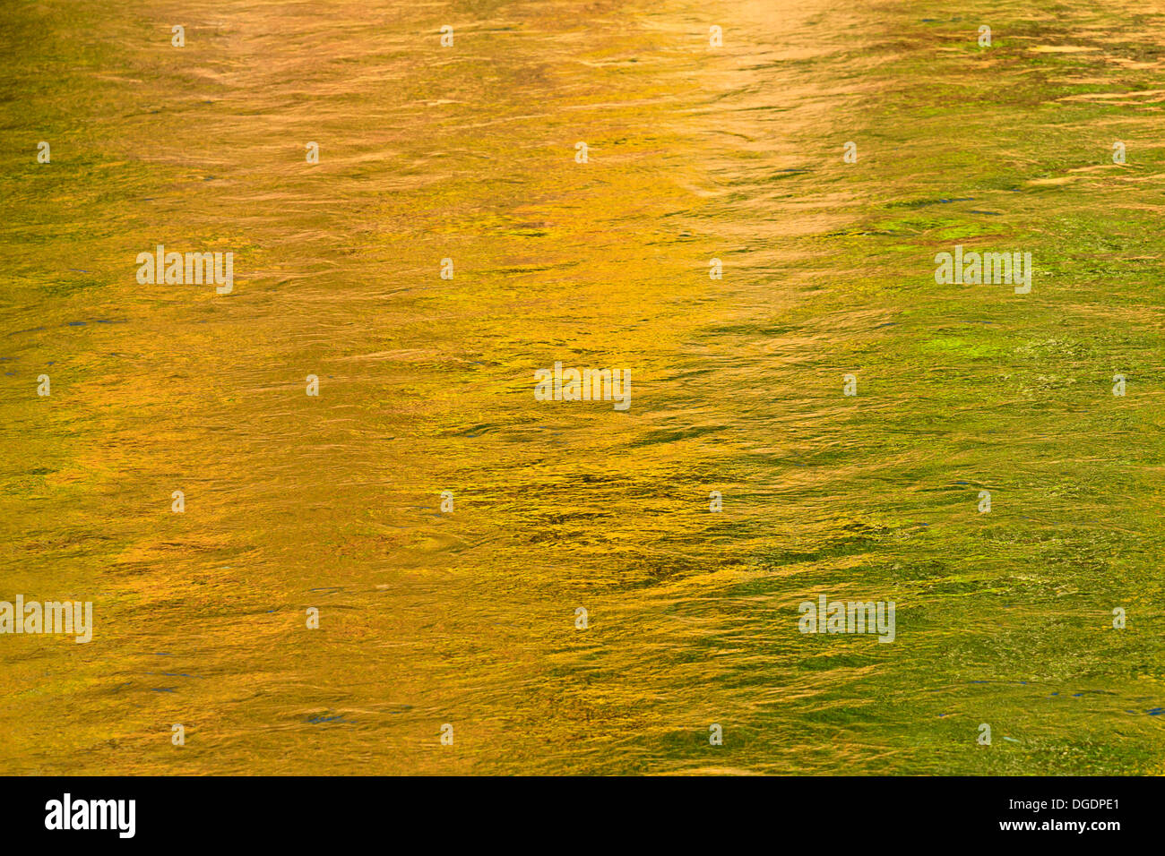 Reflection of autumn colours on the surface of a river Stock Photo - Alamy