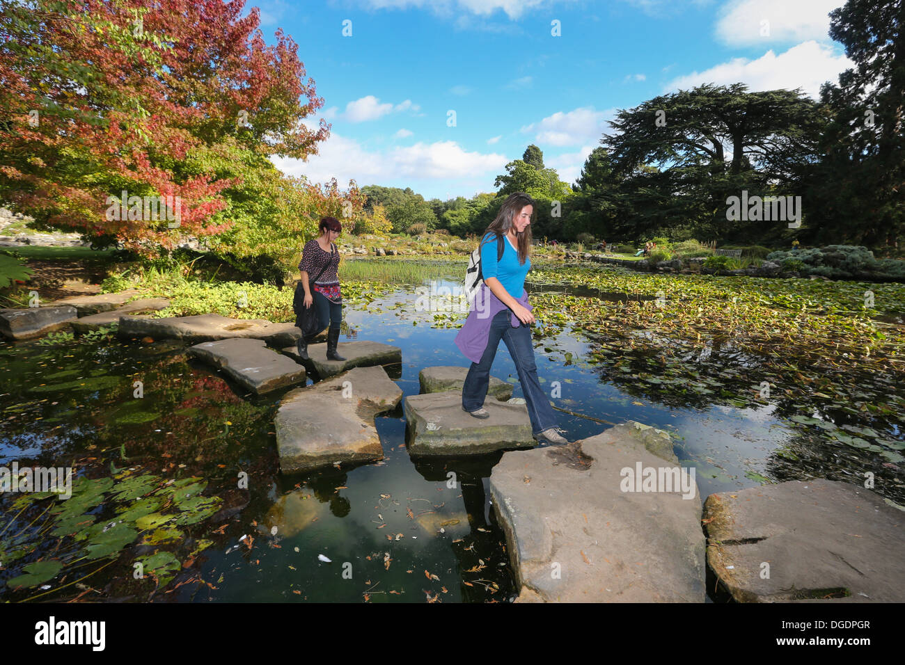 CAMBRIDGE UNIVERSITY BOTANIC GARDENS IN AUTUMN Stock Photo - Alamy
