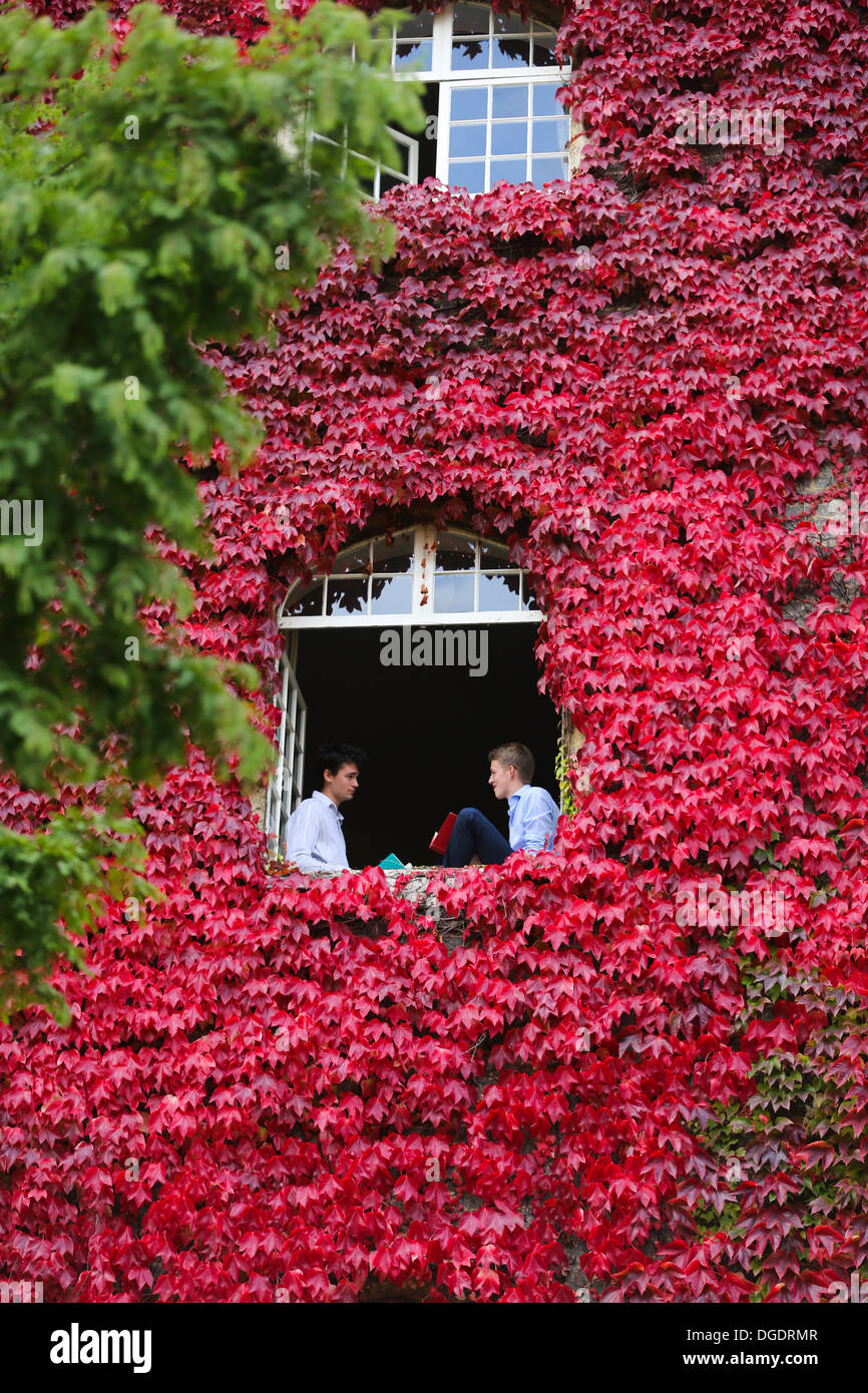 THe LARGEST Wall Of Virginia Creeper In Britain Has Turned A the-largest-wall-of-virginia-creeper-in-britain-has-turned-a