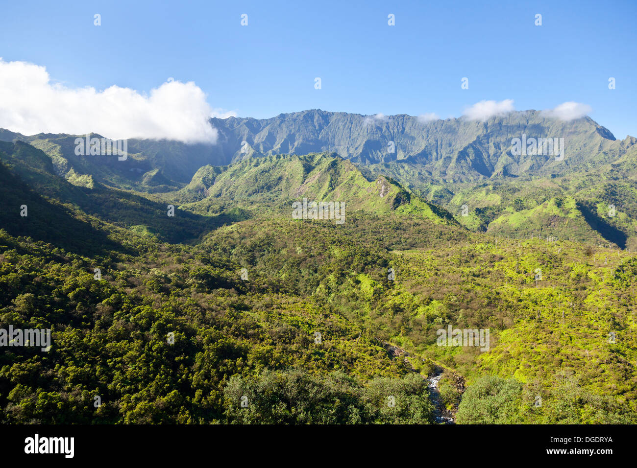Stunning green rainforest landscape in the center of Kauai, Hawaii ...