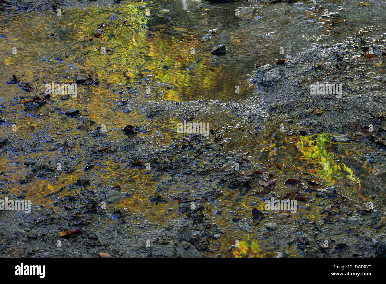 Reflections in a puddle Stock Photo - Alamy
