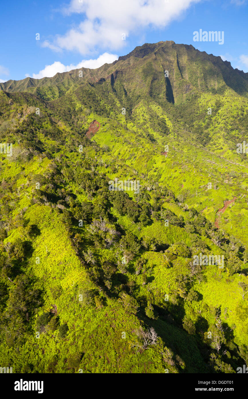 Stunning green rainforest landscape in the center of Kauai, Hawaii ...