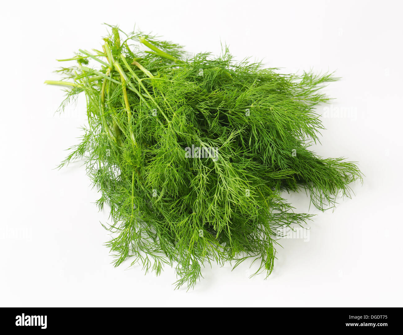 Sprigs of fresh dill weed Stock Photo - Alamy