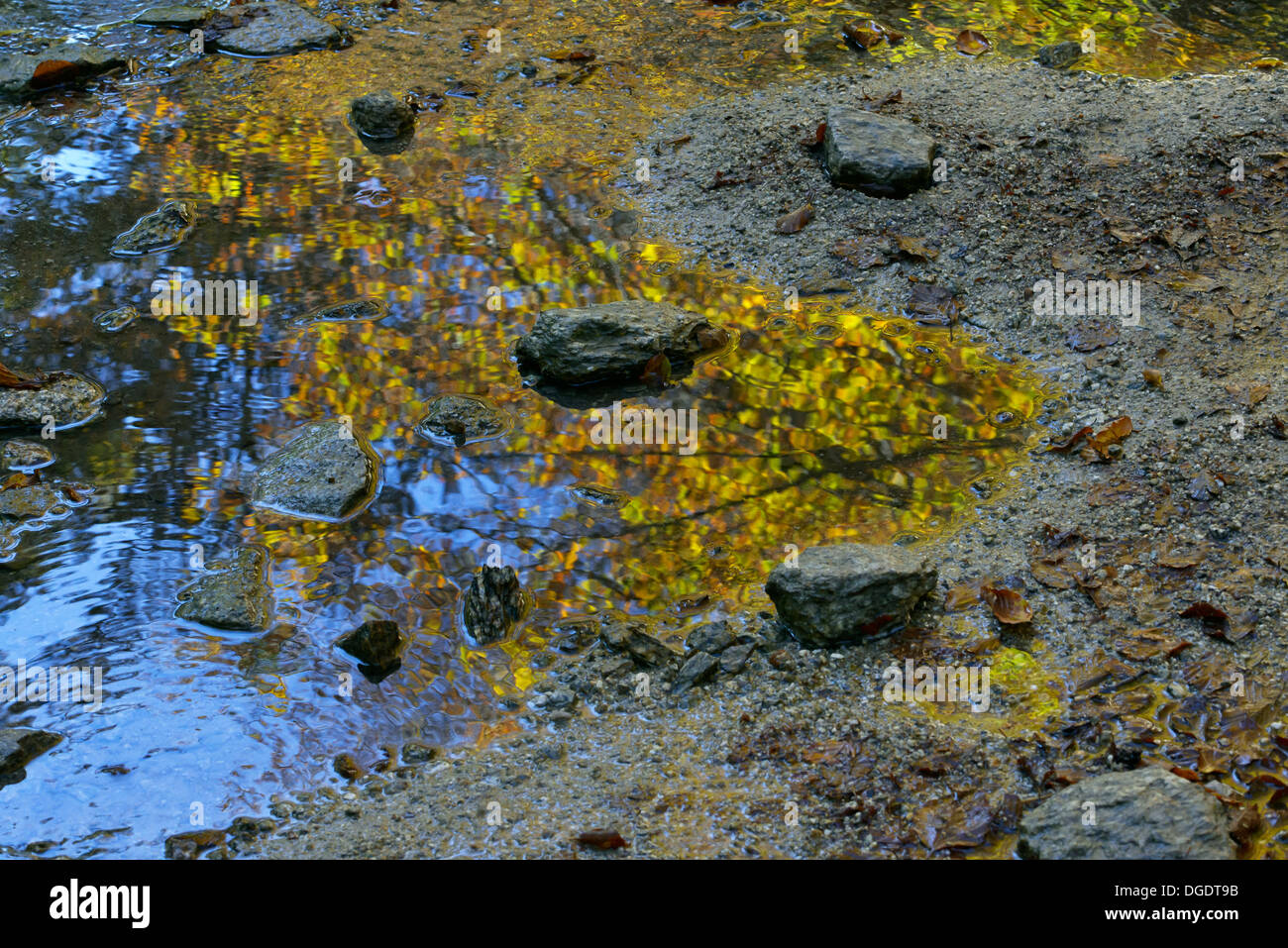 Reflections in puddles Stock Photo - Alamy
