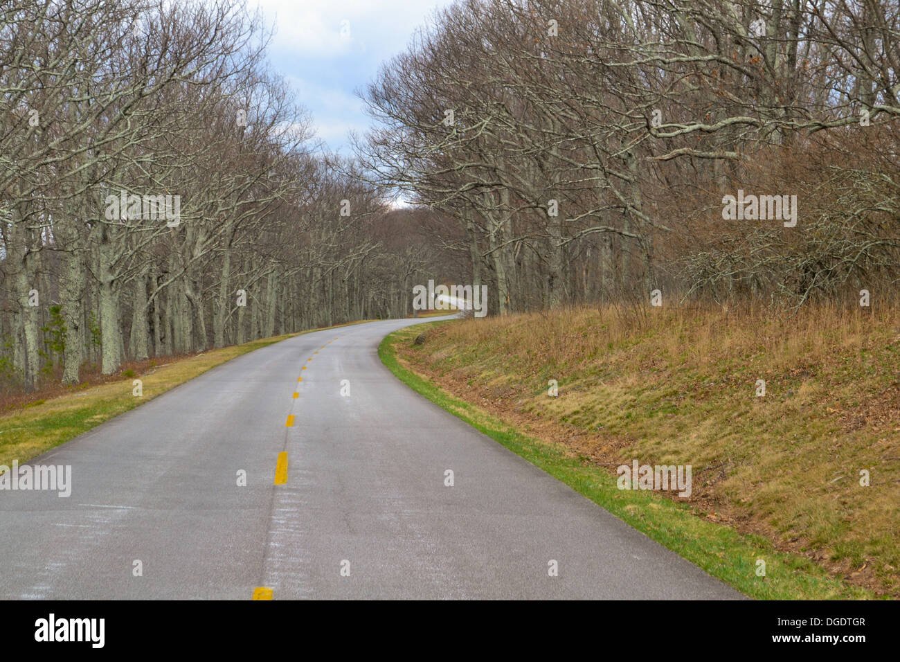 Car daylight traffic traffic trees leaves hi-res stock photography and ...