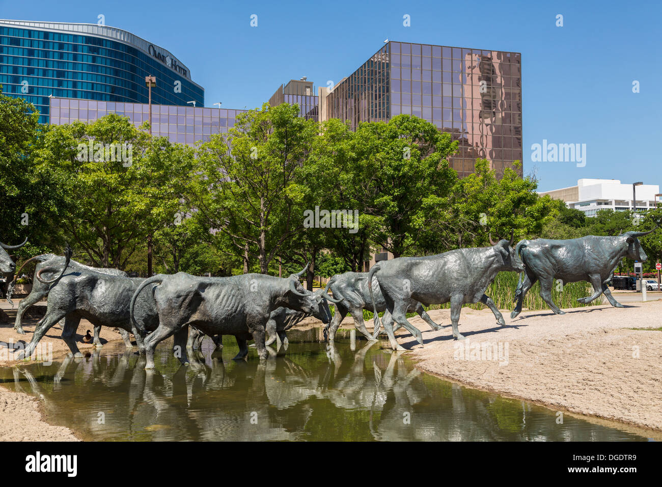 Bronze sculptures Cattle Drive Pioneer Plaza Dallas Texas USA Stock ...