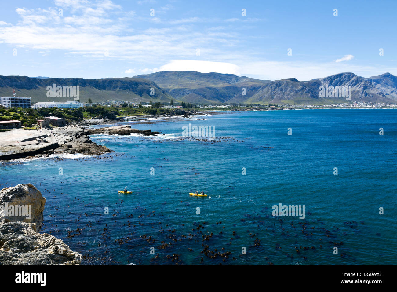 Hermanus south africa hi-res stock photography and images - Alamy