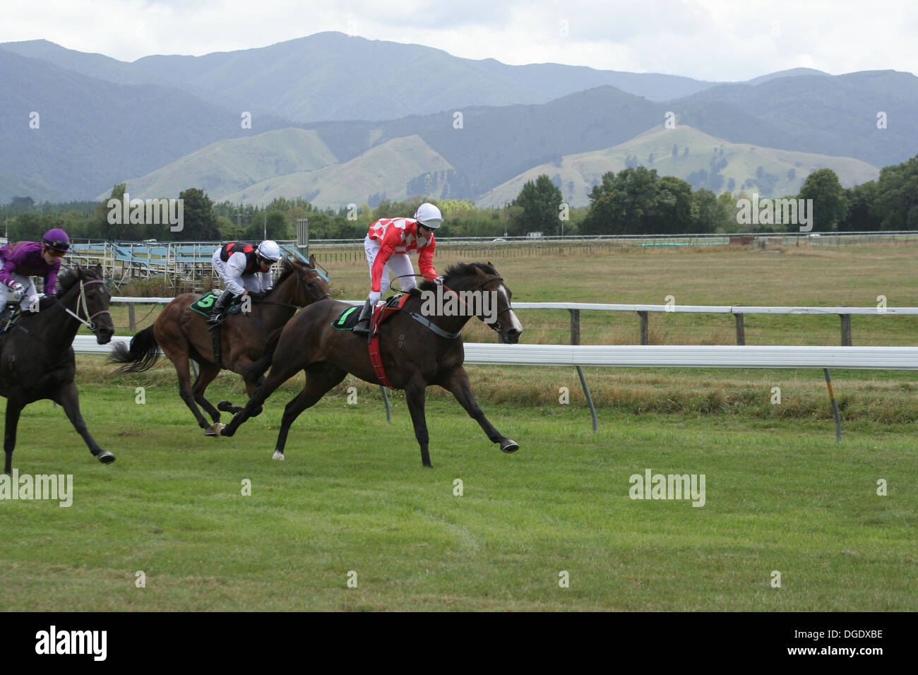 Horse Racing Horses High Resolution Stock Photography and Images - Alamy