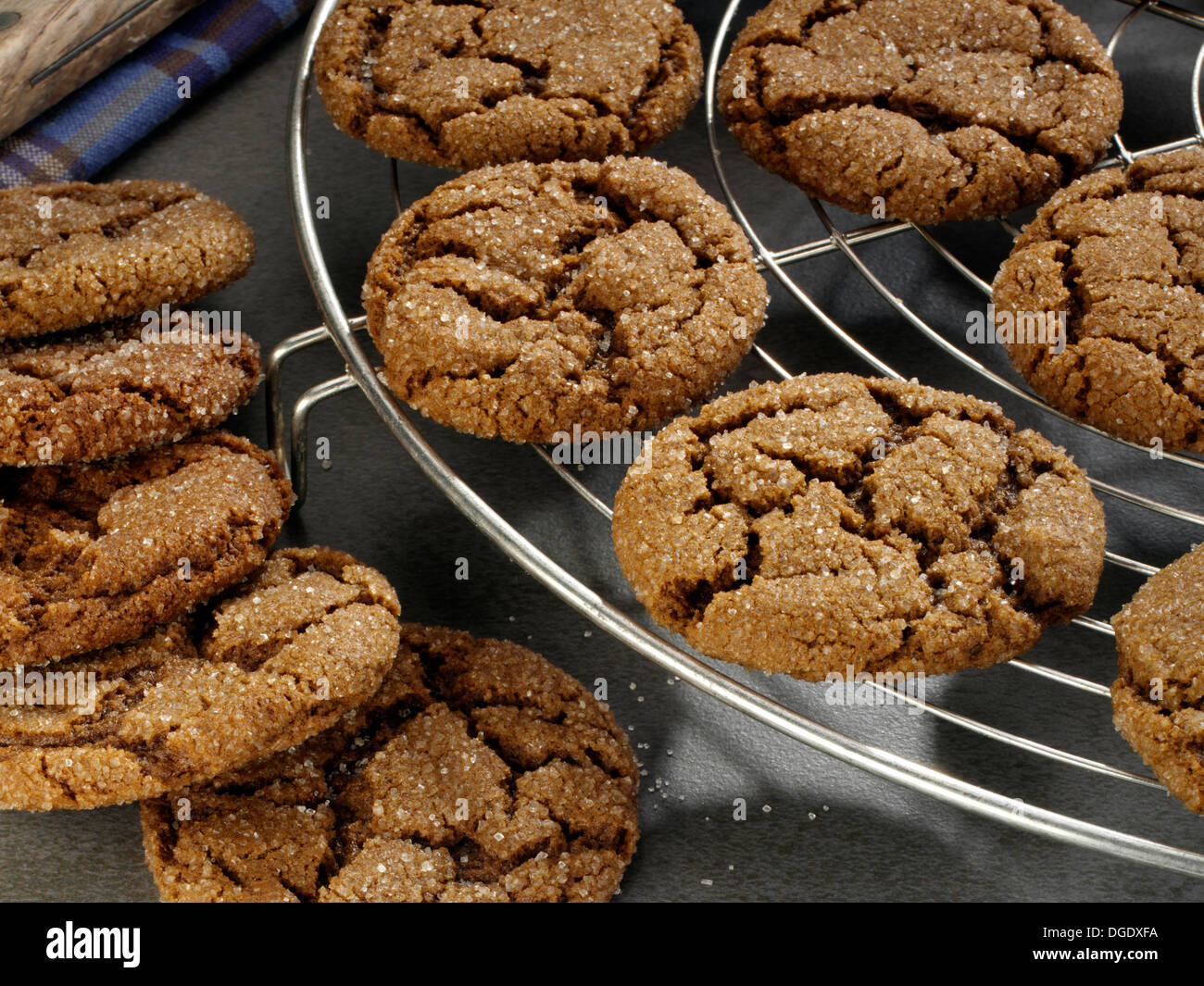 Snapper biscuits hi-res stock photography and images - Alamy