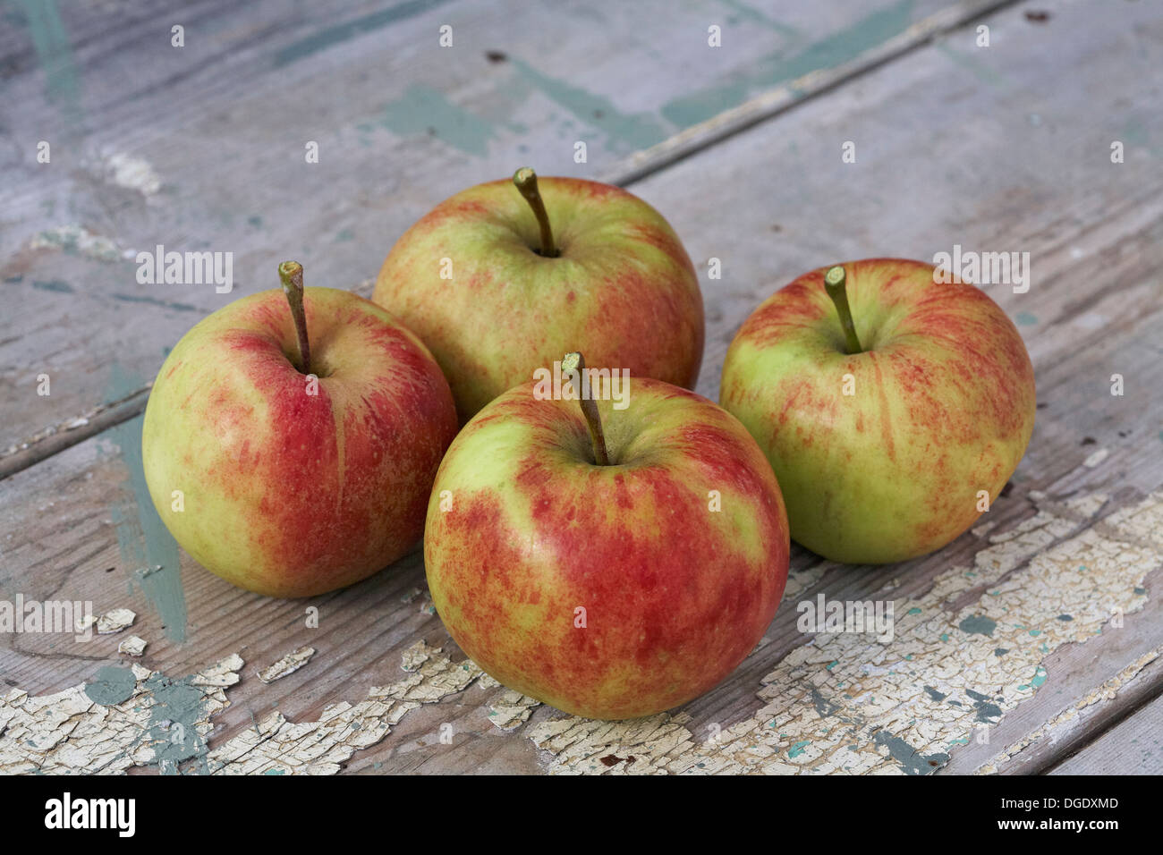 Laxtons High Resolution Stock Photography and Images - Alamy