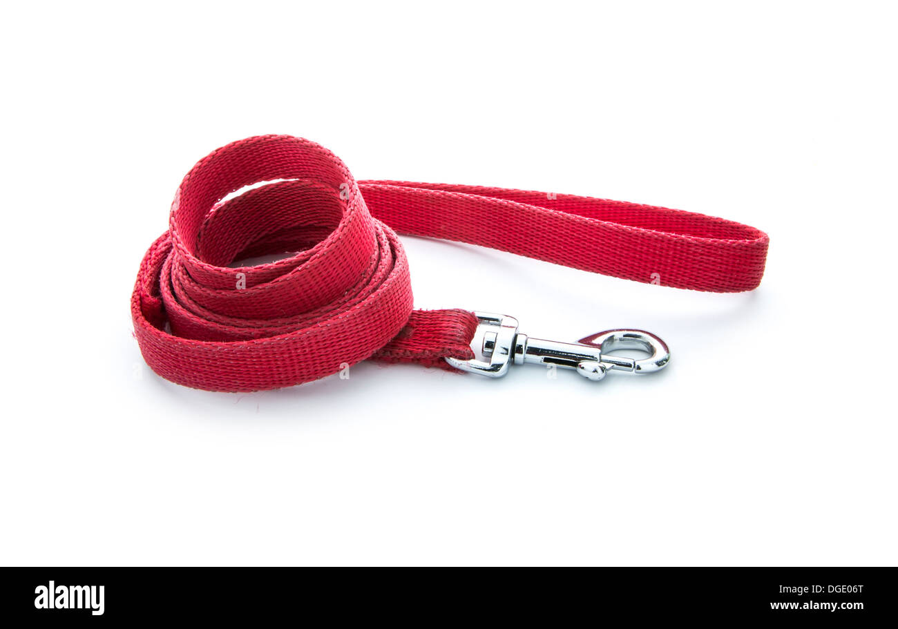 used red dog leash isolated on white background Stock Photo - Alamy