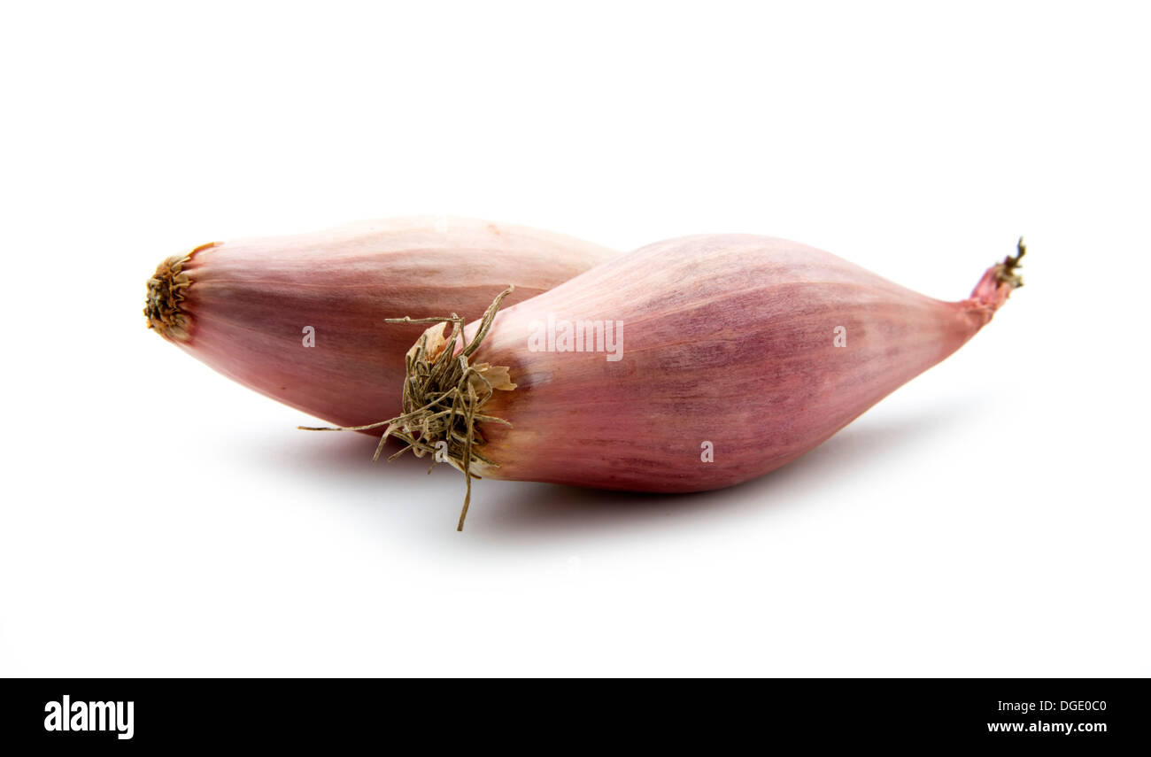 two shallots isolated on white background Stock Photo - Alamy