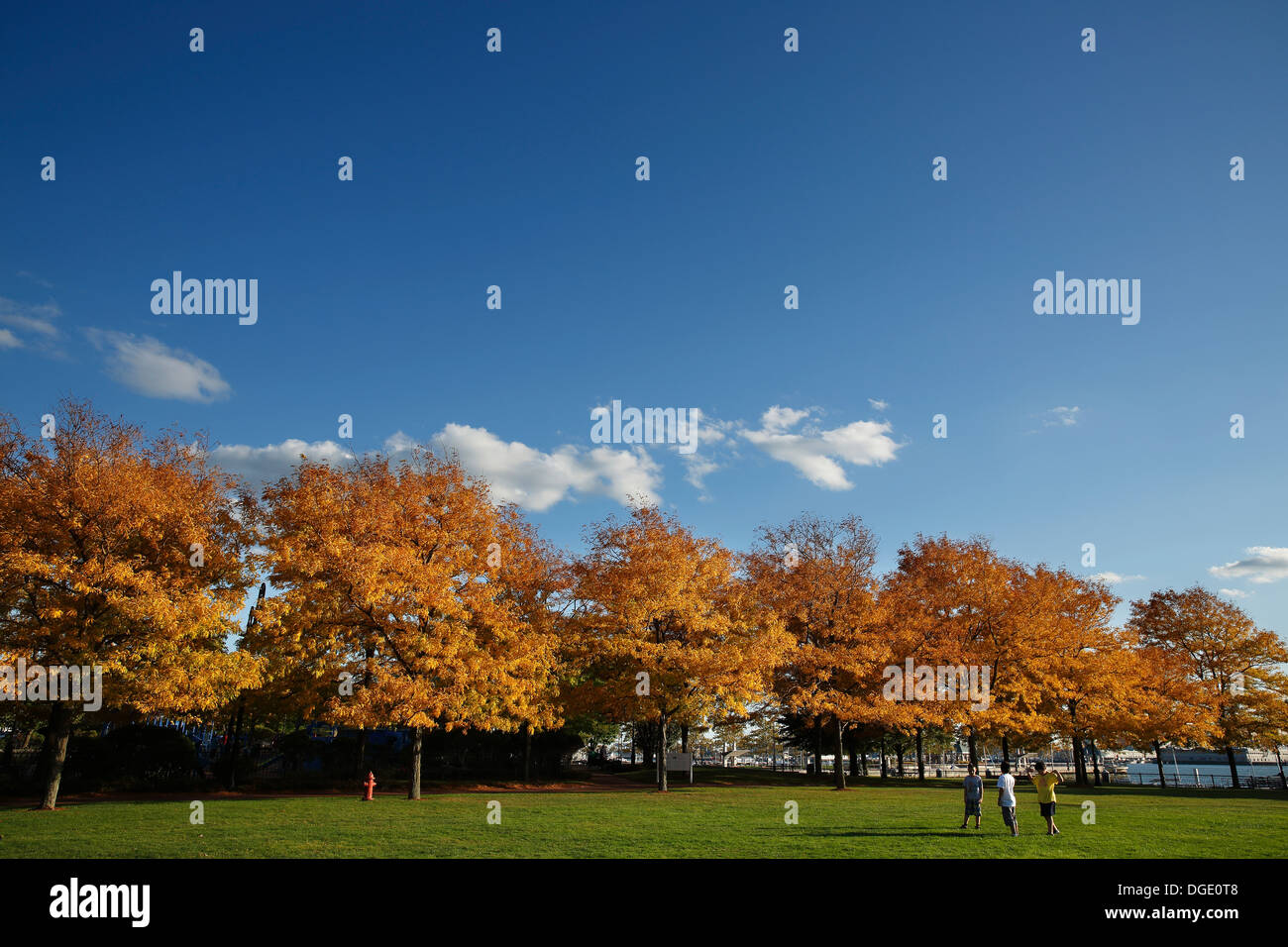 Fall foliage, Piers Park, Boston, Massachusetts, USA Stock Photo - Alamy