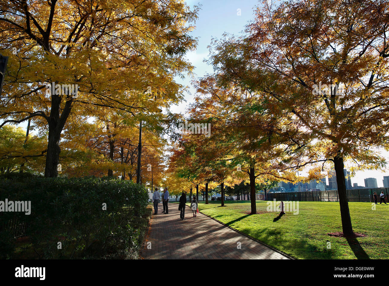 Fall foliage, Piers Park, Boston, Massachusetts, USA Stock Photo - Alamy