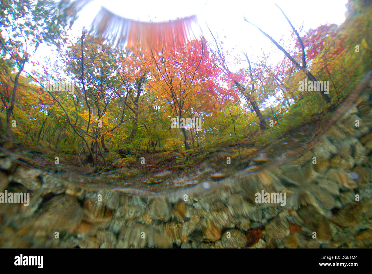 Split image of natural freshwater spring and autumn foliage, Seoraksan ...