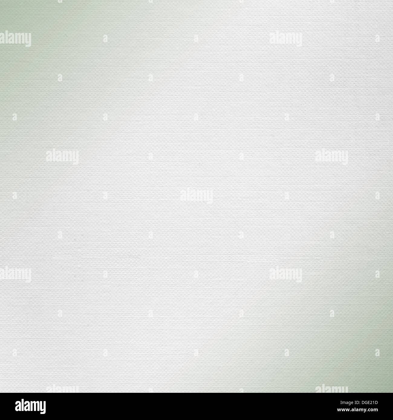 white paper texture background with soft pattern and light green ...