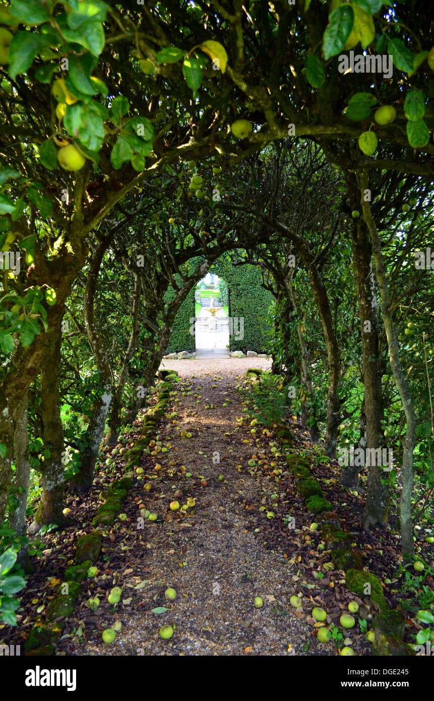 Curved apple hi-res stock photography and images - Alamy