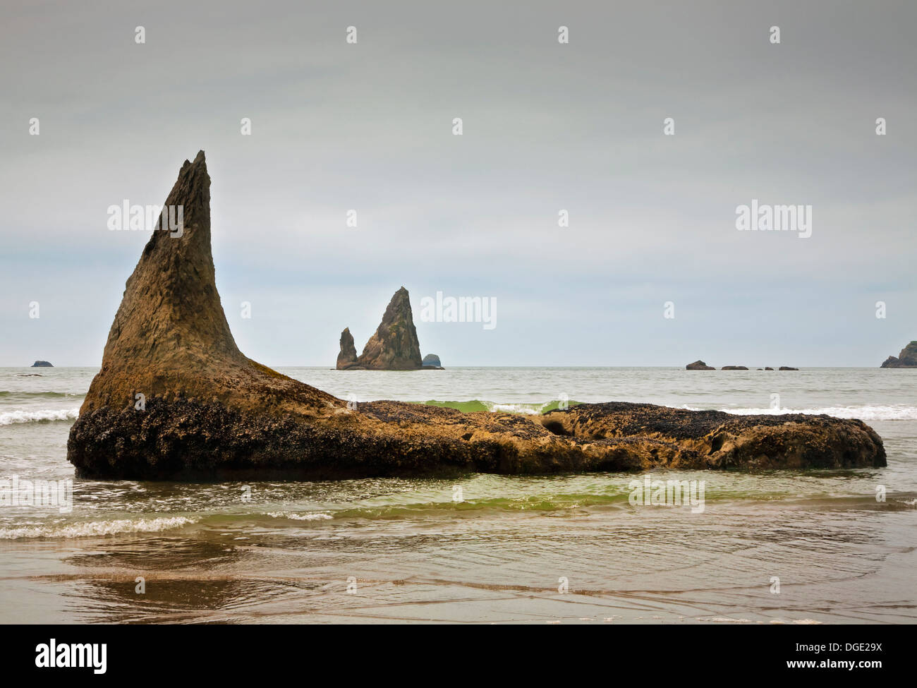 Seastacks and off-shore islands along the shore of Oil City Beach in ...