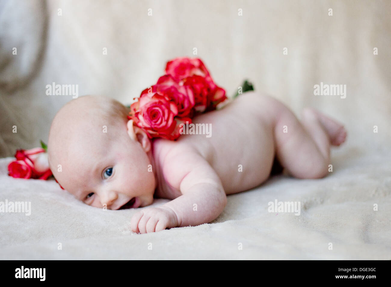Infant toddler baby hi-res stock photography and images - Alamy