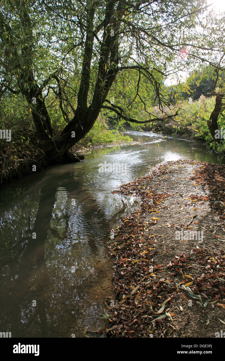 The River Windrush near Witney Lake, Oxfordshire, England, UK Stock ...