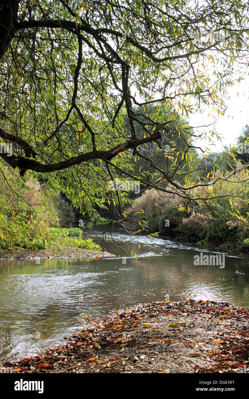 The River Windrush near Witney Lake, Oxfordshire, England, UK Stock ...