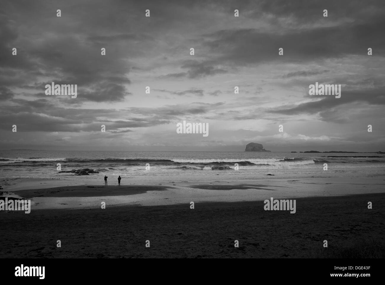 Rock colony Black and White Stock Photos & Images - Alamy