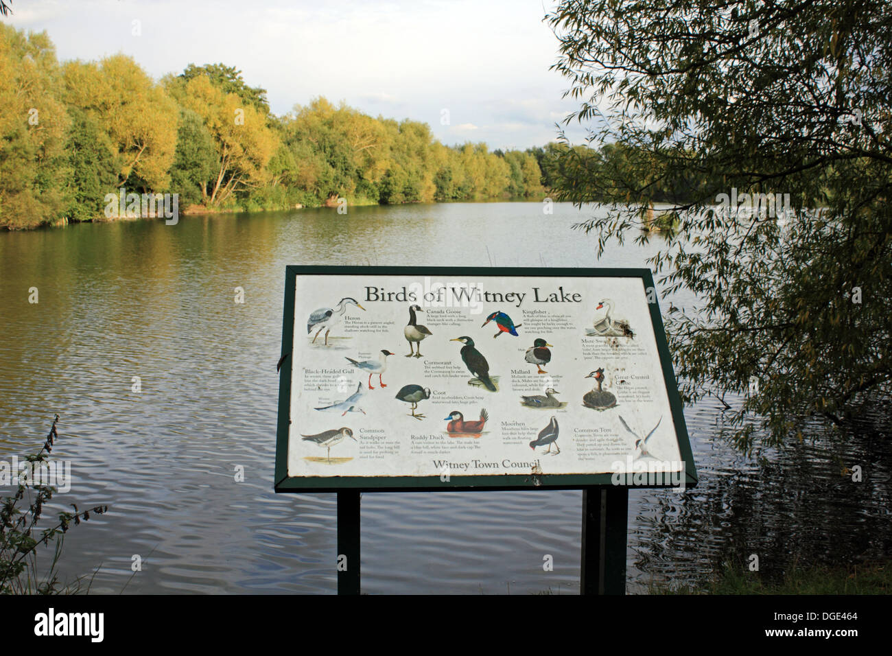 Witney Lake, Oxfordshire, England, UK Stock Photo - Alamy