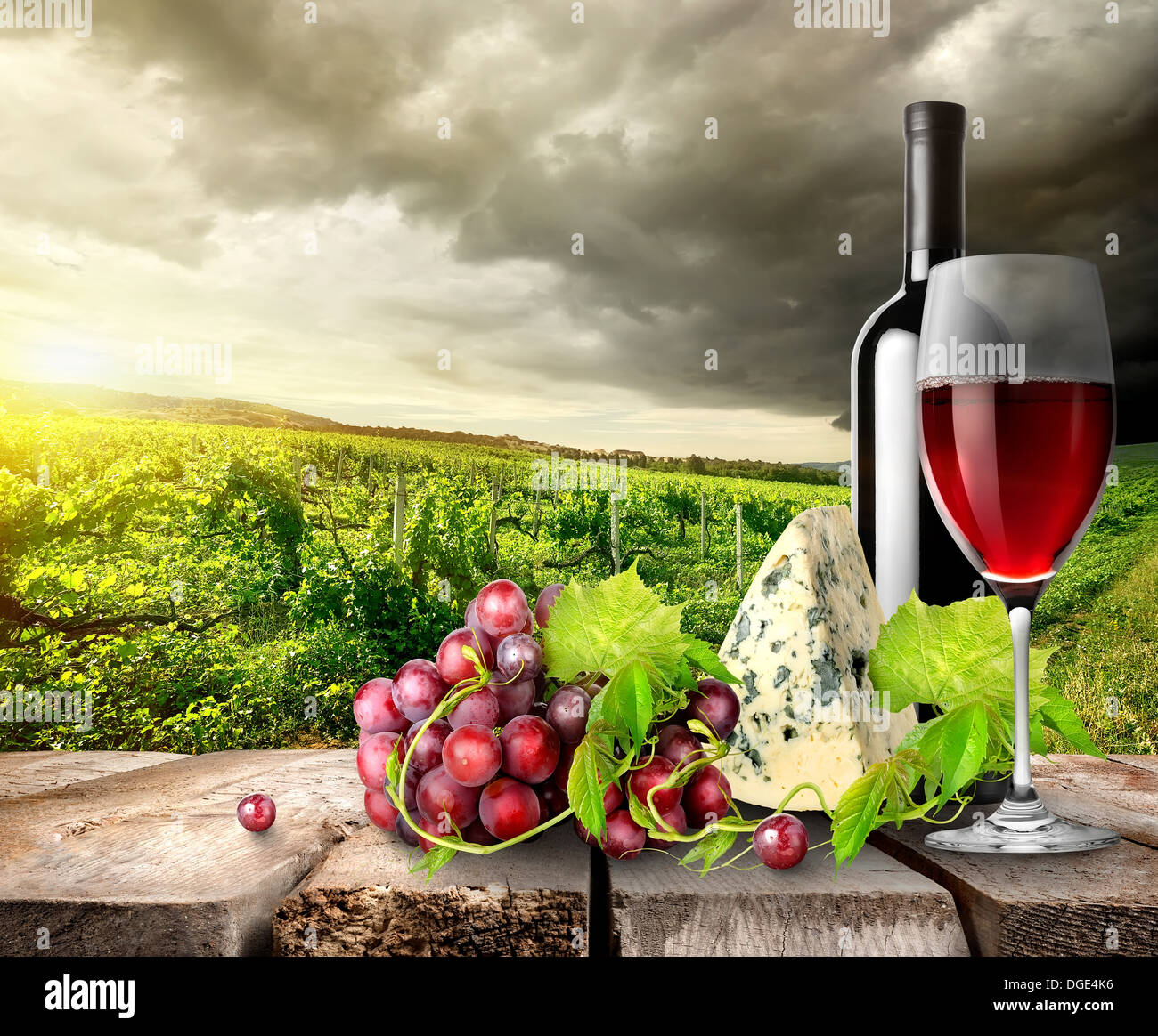 Table grape vineyard hi-res stock photography and images - Alamy