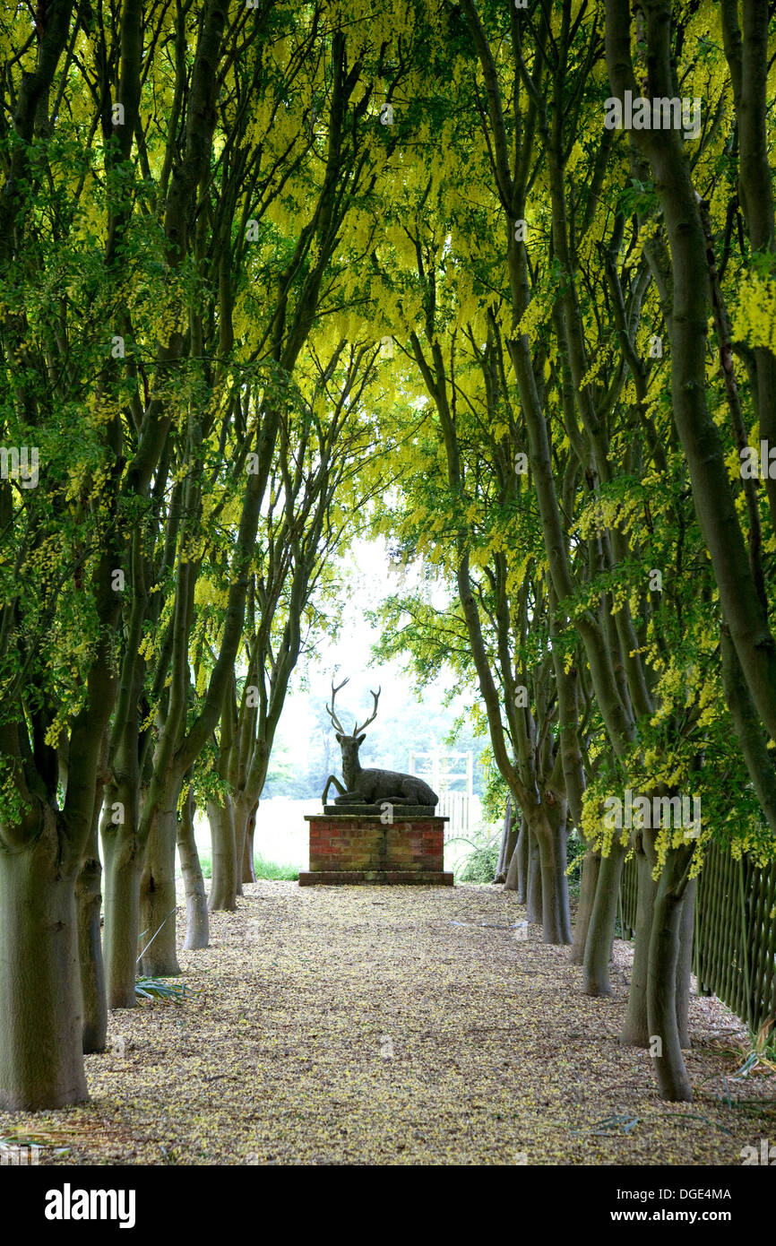 Stag statue in the gardens of Fawsley Hall, Northamptonshire Stock ...