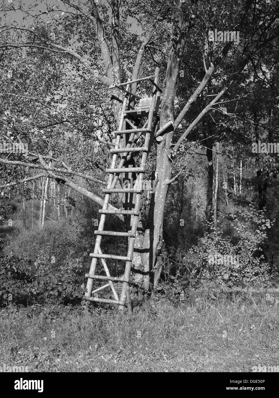 Art Hunting Tree Stands