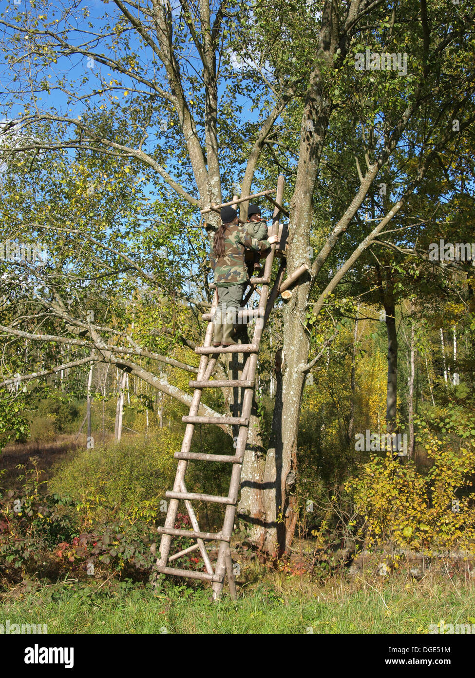 Deer hunting landscapes hi-res stock photography and images - Alamy