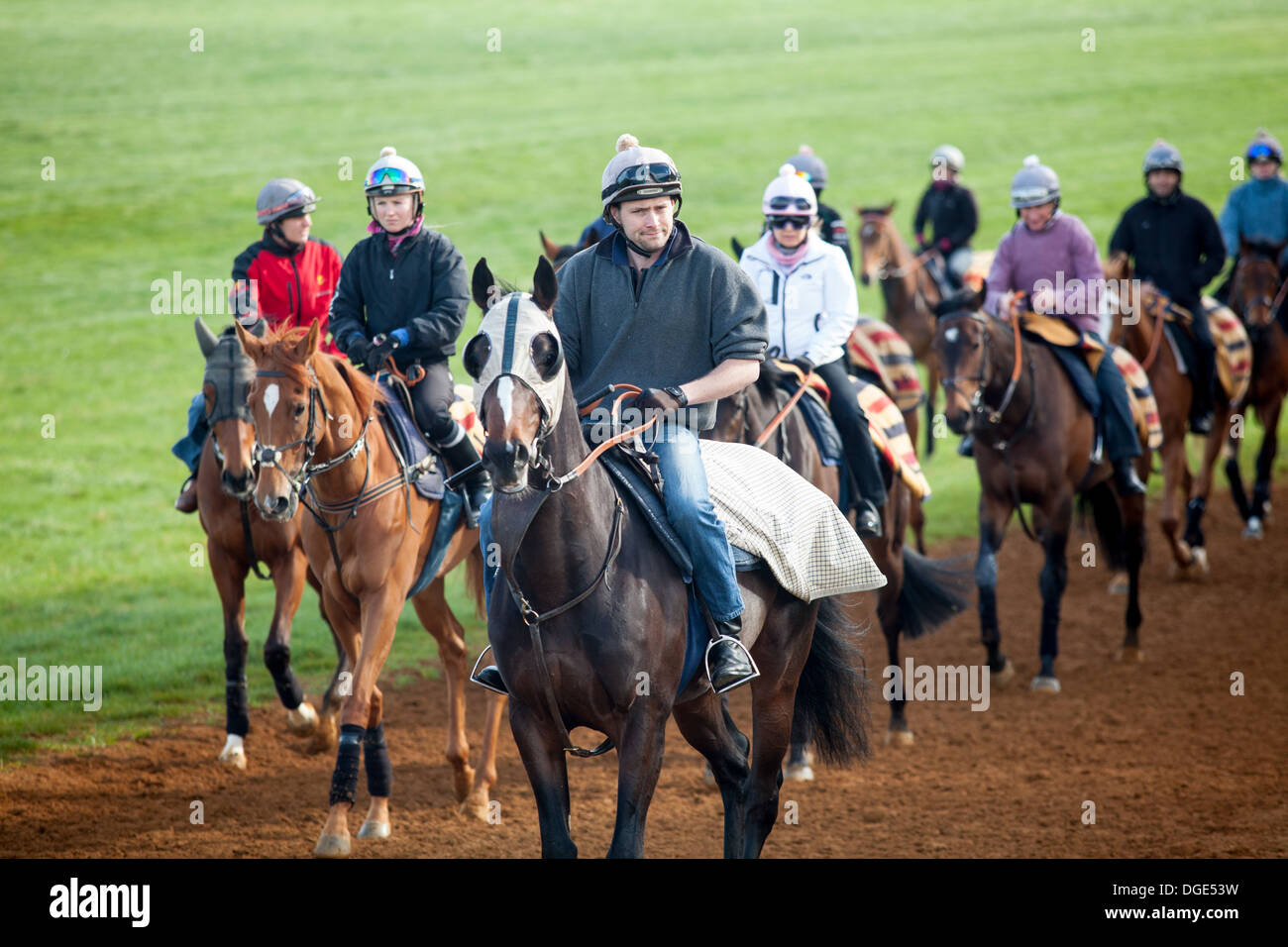 Newmarket's gallops hi-res stock photography and images - Alamy