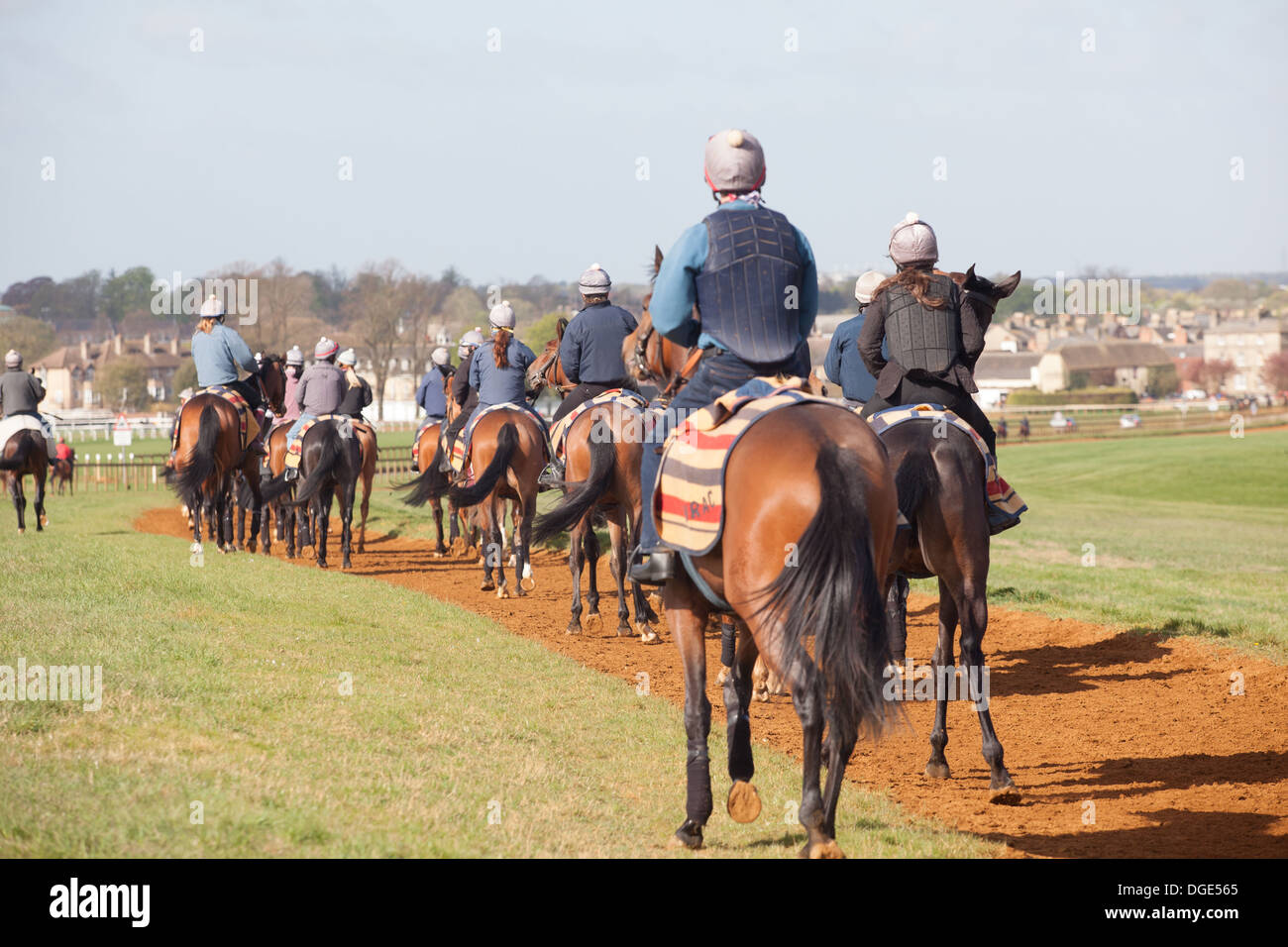 Stables newmarket suffolk england hi-res stock photography and images ...