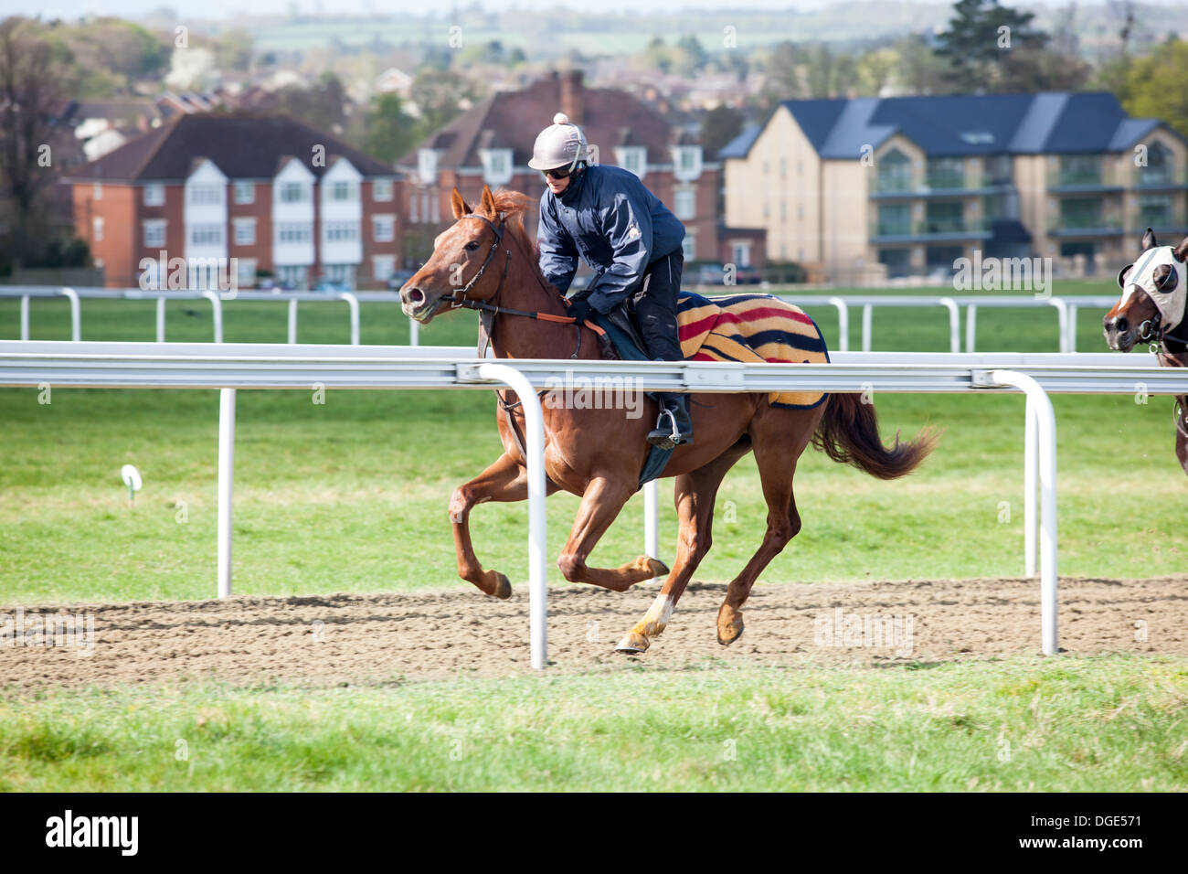 Galloping horse hi-res stock photography and images - Alamy