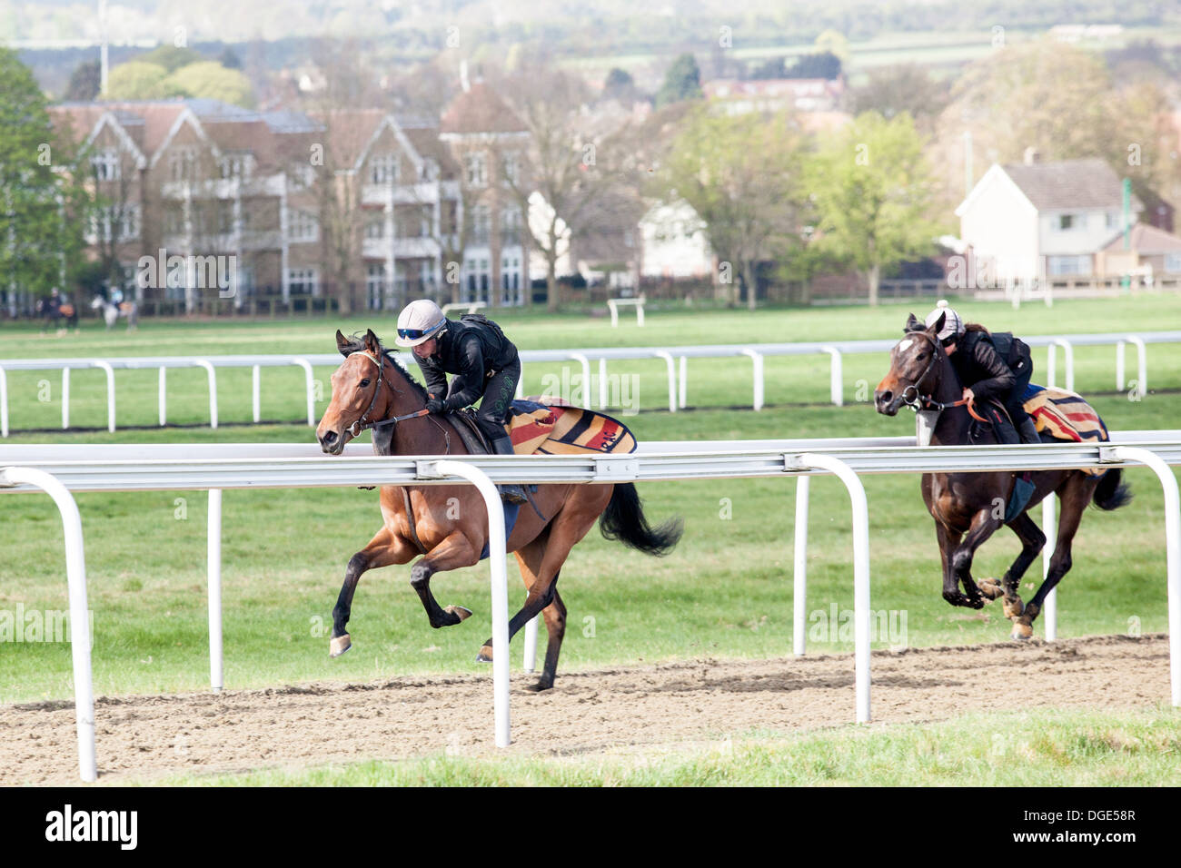 Horse training gallops hi-res stock photography and images - Alamy
