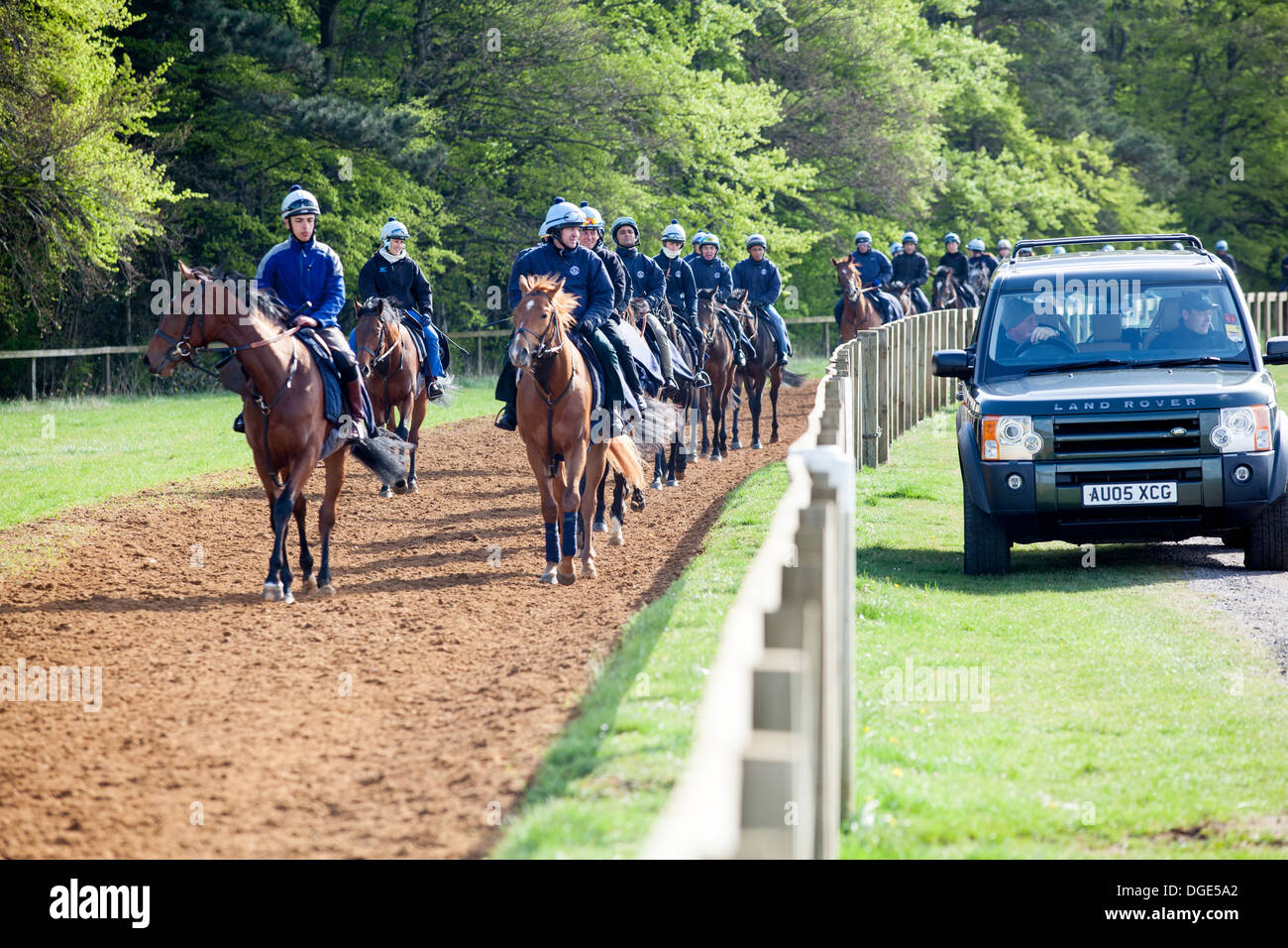 Trainer stables stable hi-res stock photography and images - Alamy