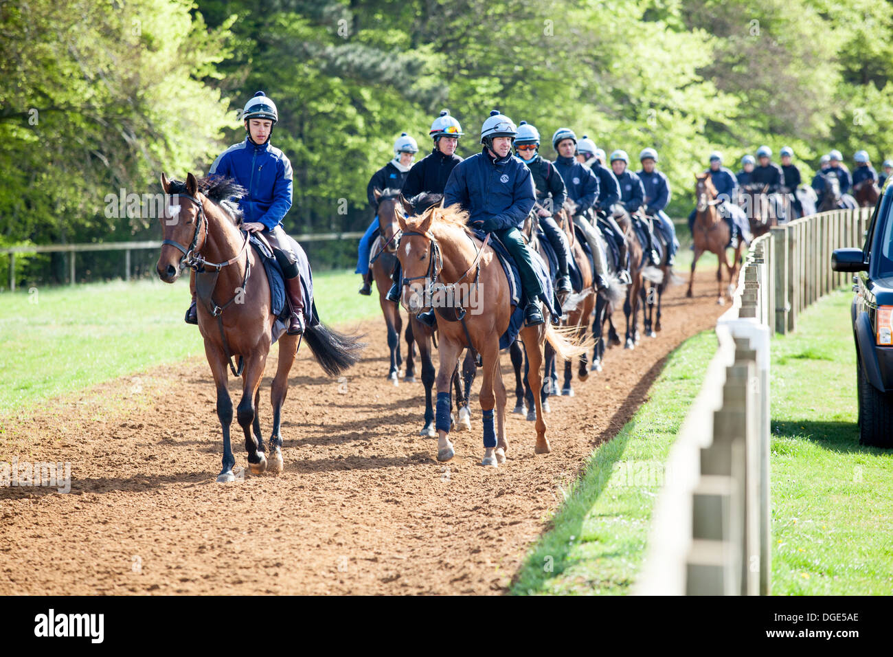 Training on the gallops hi-res stock photography and images - Alamy
