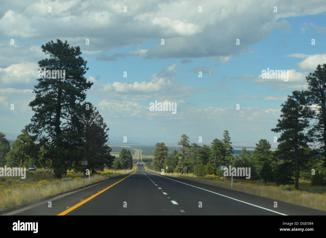 Dotted trees hi-res stock photography and images - Alamy