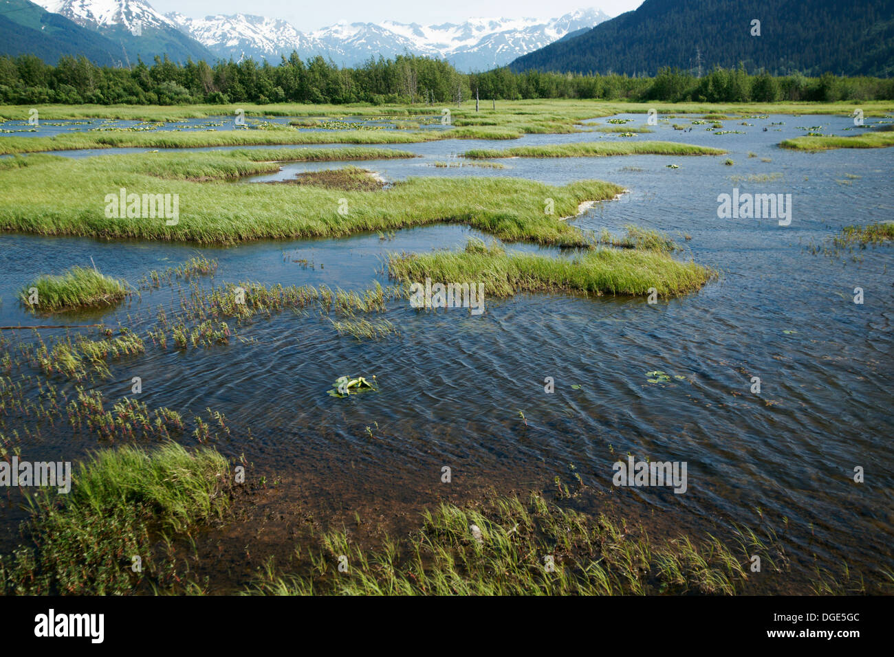 Alaska usa marshes wetlands hi-res stock photography and images - Alamy