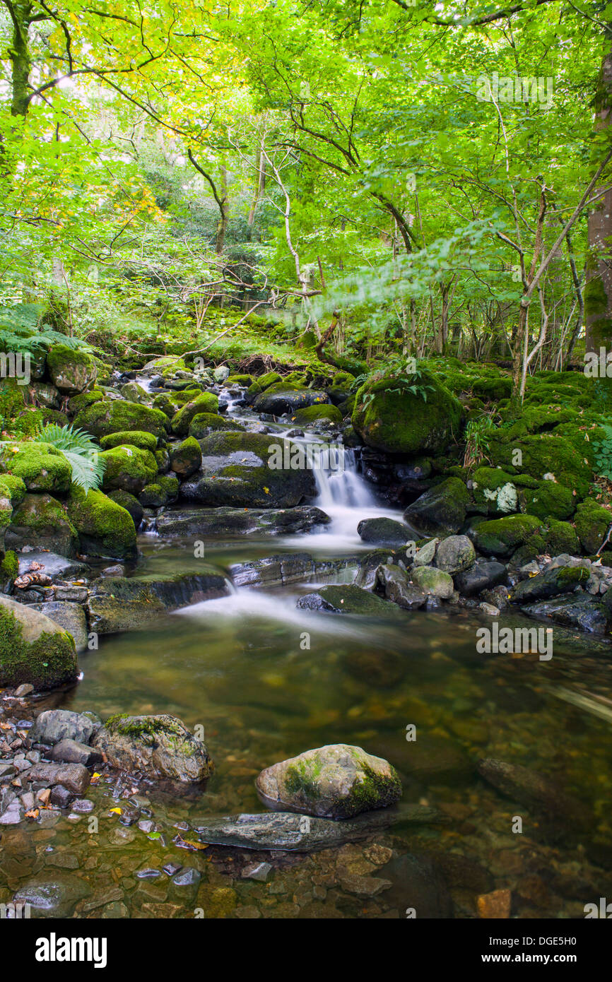Water flow uk hi-res stock photography and images - Alamy