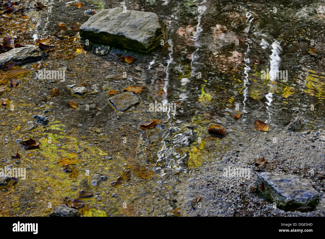Reflections in a puddle Stock Photo - Alamy