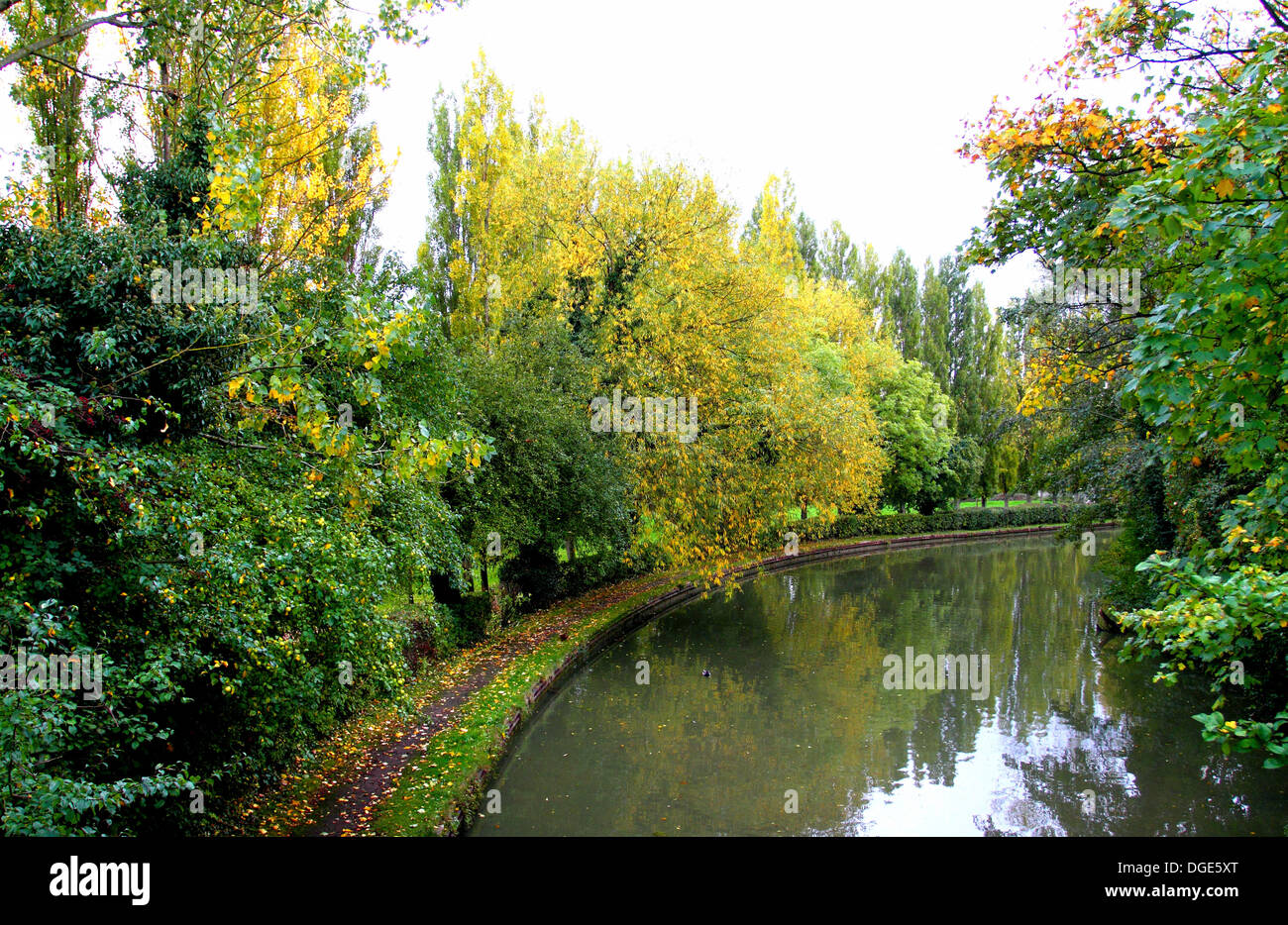 Milton Keynes, Bucks, UK. 19th October 2013. Autumn Colours and scenery ...
