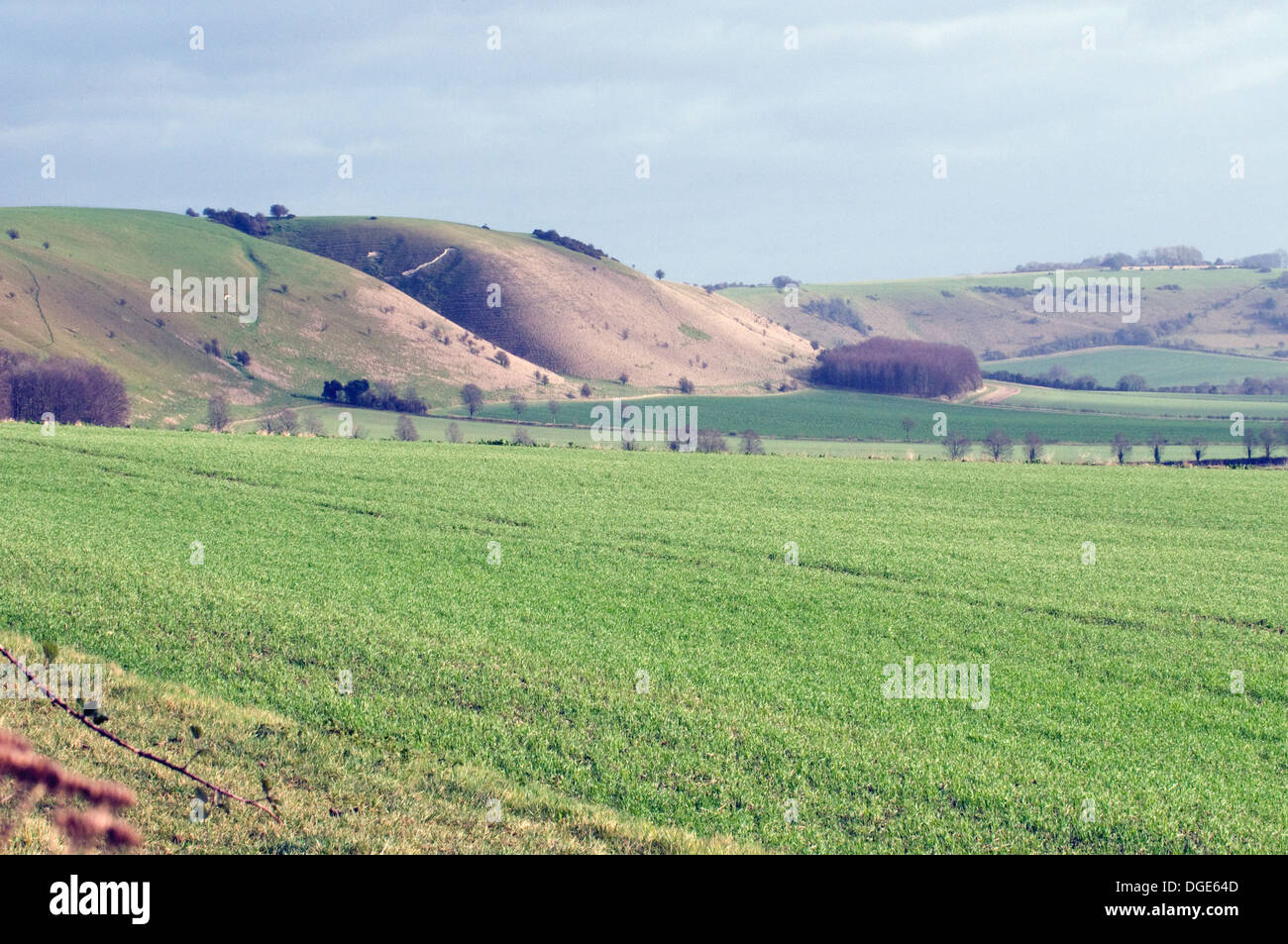 Hills undulating hi-res stock photography and images - Alamy