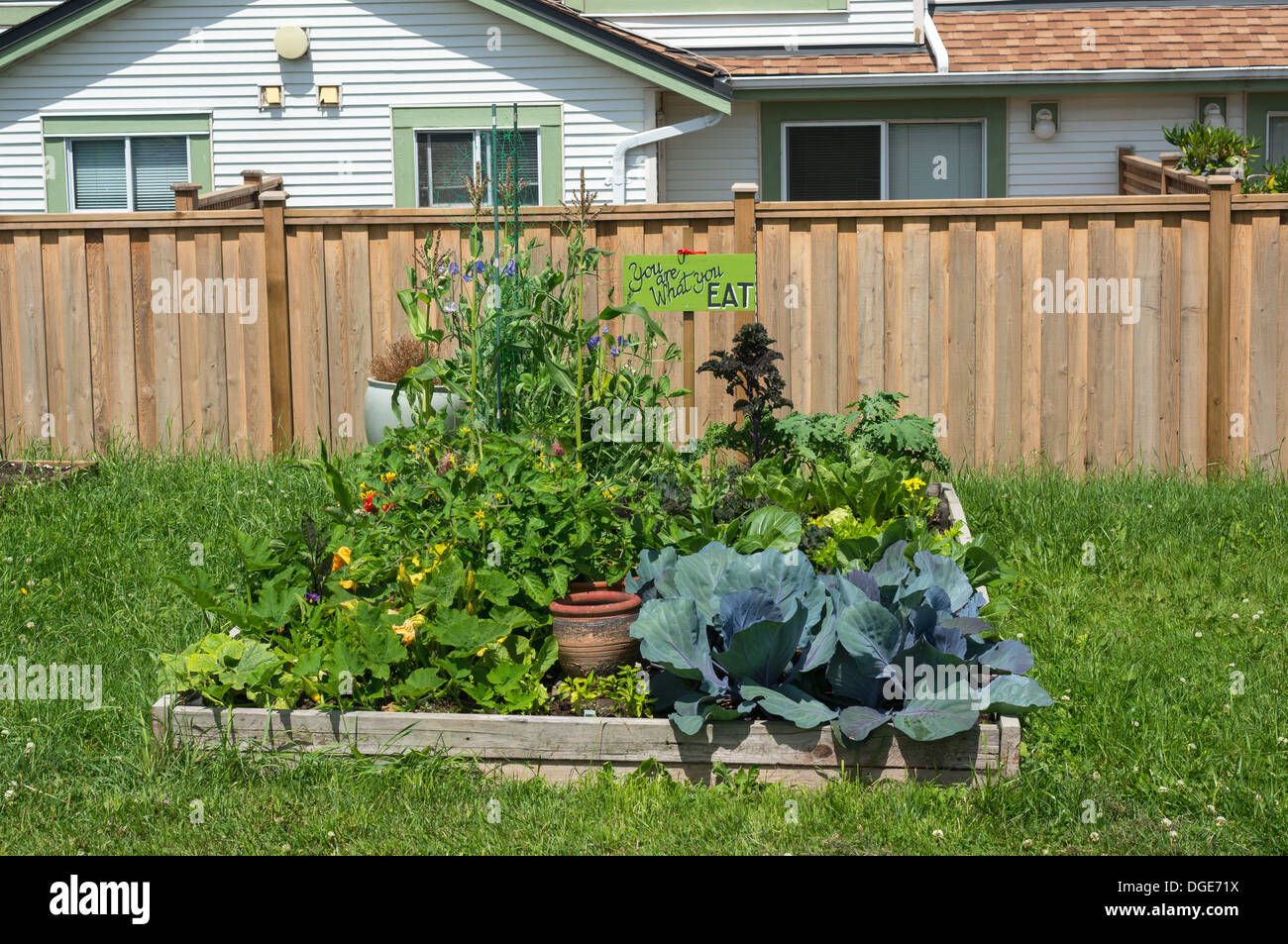 Raised beds in vegetable community garden Stock Photo - Alamy