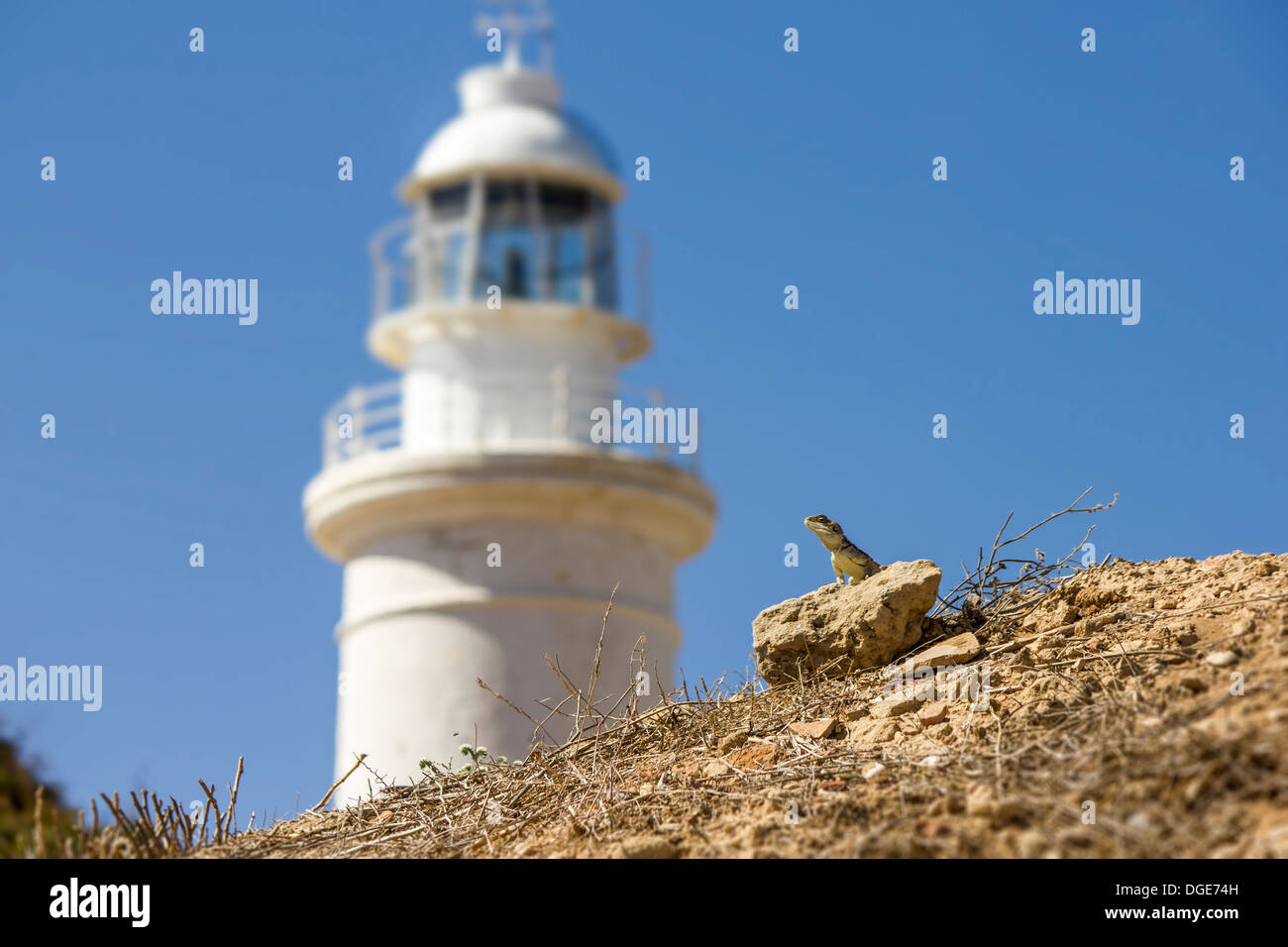 Specification desert cyprus hi-res stock photography and images - Alamy