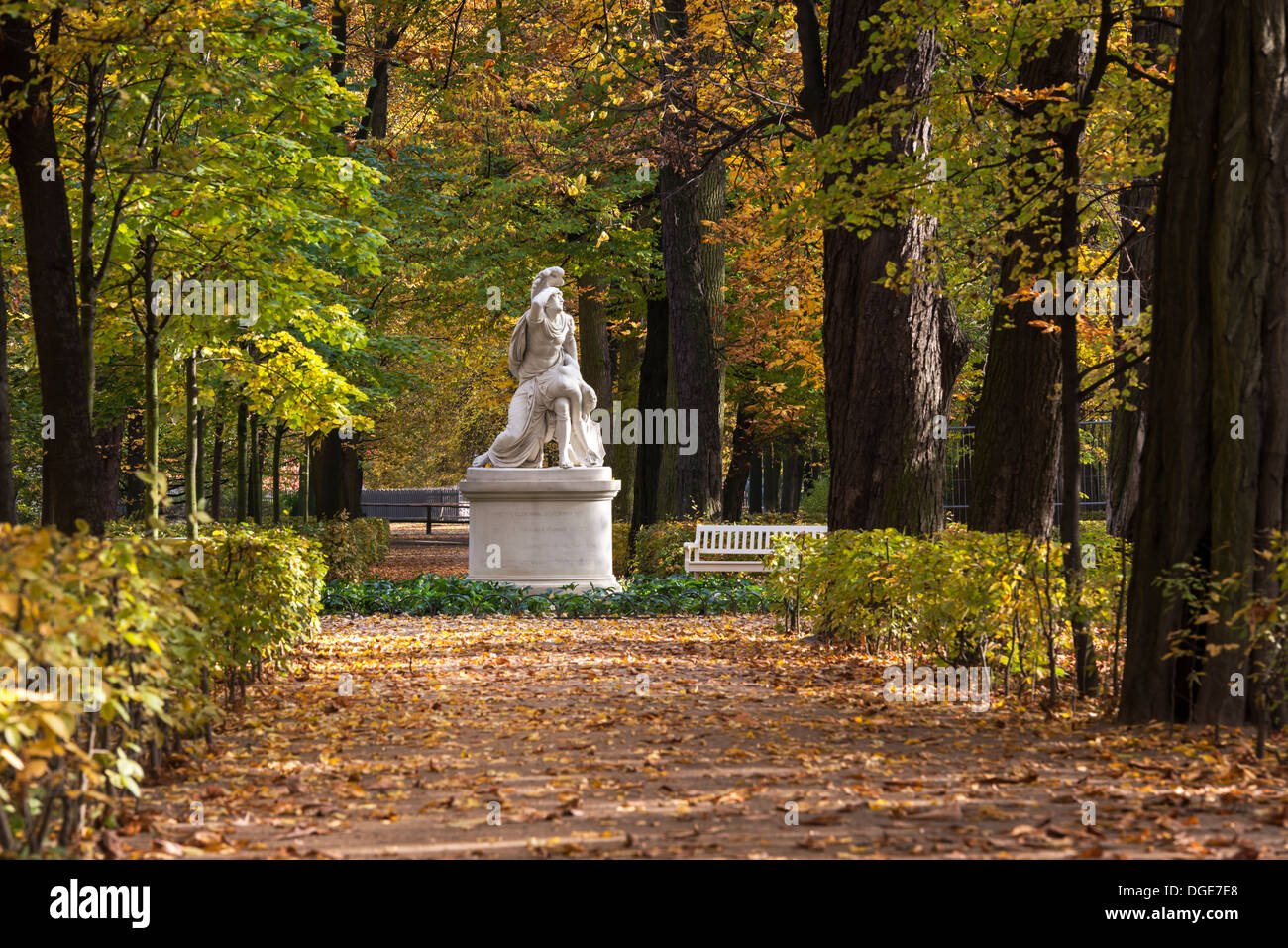 Warsaw Palm Tree High Resolution Stock Photography and Images - Alamy