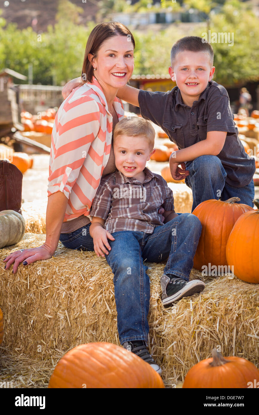 Attractive Mother and Her Two Sons Pose for a Portrait in a Rustic ...