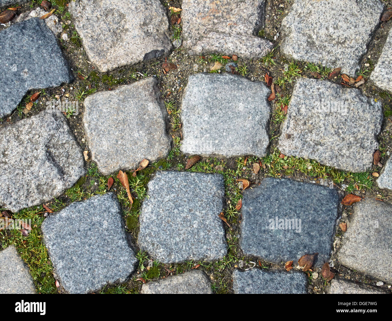 Paving stones hi-res stock photography and images - Alamy